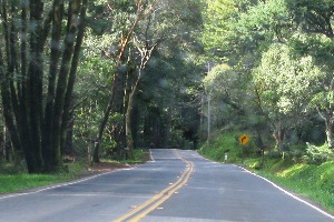 An M.G. Locost Build